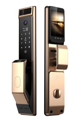 Quality Smart Door Lock & Face ID Recognition Door Lock factory from China